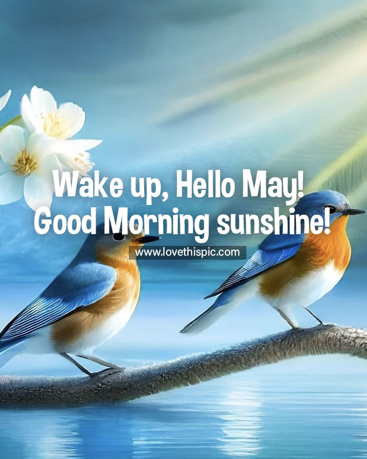 Wake Up, Hello May! Good Morning Sunshine! Pictures, Photos, and Images ...