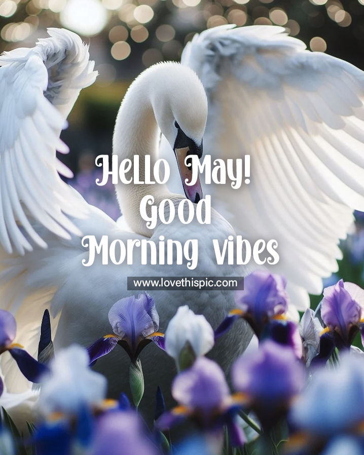 Hello May! Good Morning Vibes Pictures, Photos, and Images for Facebook ...