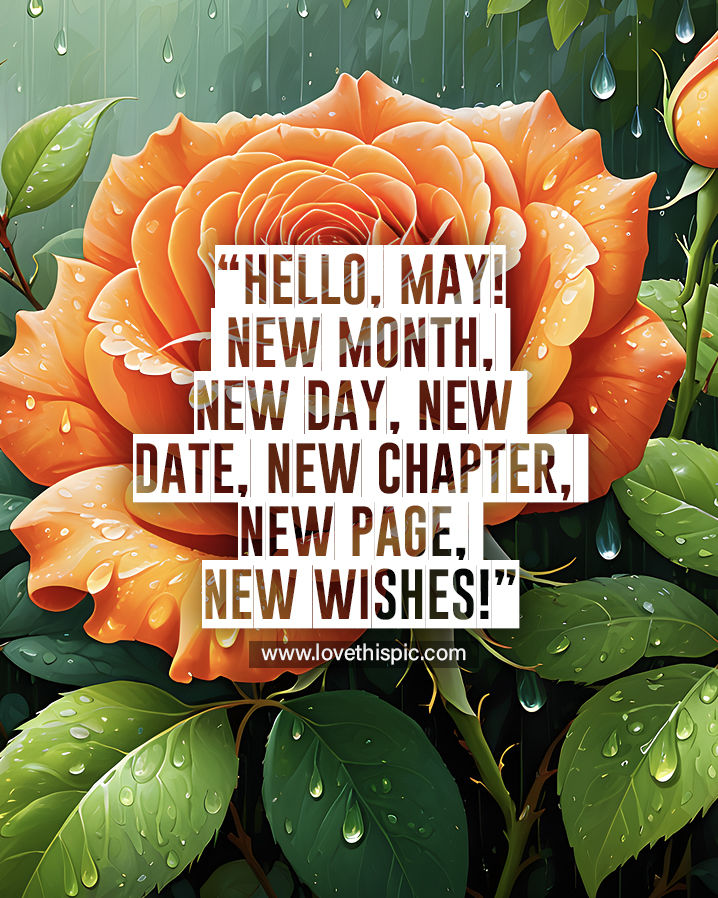 “Hello, May! New Month, New Day, New Date, New Chapter, New Page, New ...