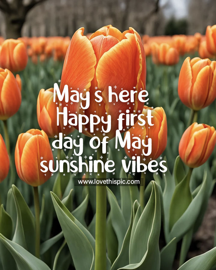 May's Here! Happy First Day Of May, Sunshine Vibes! Pictures, Photos ...