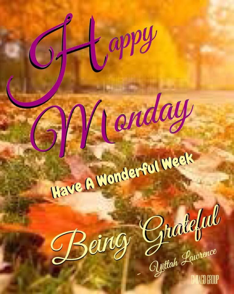 Happy Monday, Have A Wonderful Week Pictures, Photos, and Images for ...