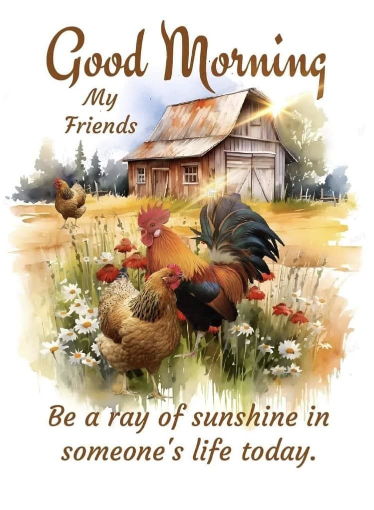 Be A Ray Of Sunshine In Someone's Life Today. Good Morning Pictures ...