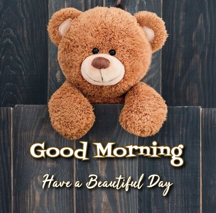 Cute Teddy Bear - Good Morning, Have A Beautiful Day Pictures, Photos ...