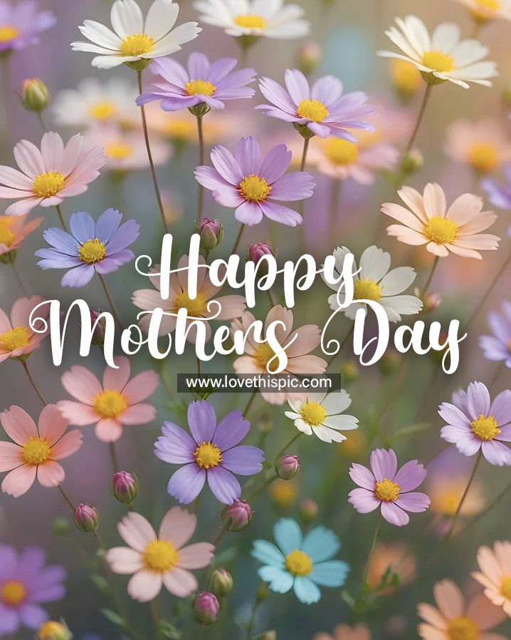 Pastel Daisies - Happy Mother's Day Quote Pictures, Photos, and Images ...