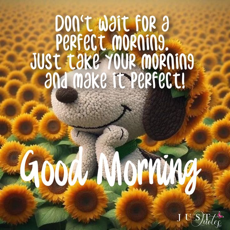 Don't Wait For Perfect Morning, Just Take Your Morning And Make It ...