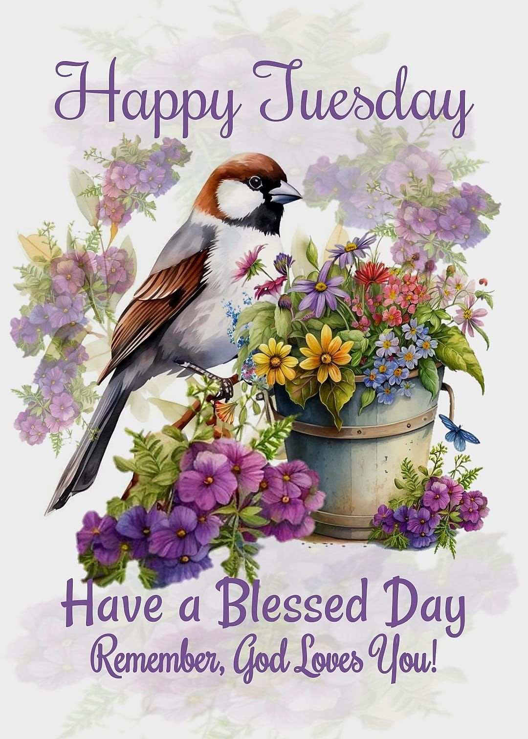 Happy Tuesday Blessings Pictures, Photos, and Images for Facebook ...