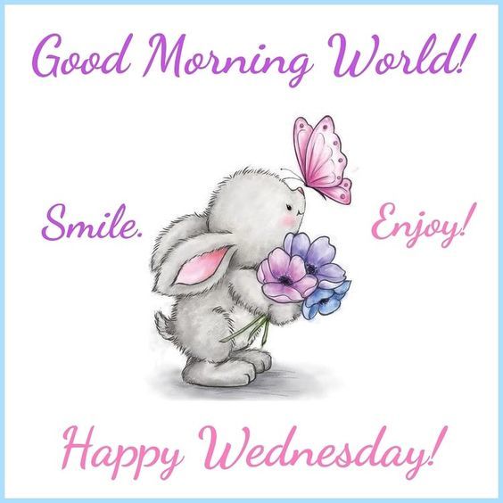 Good Morning World! Happy Wednesday Pictures, Photos, and Images for ...