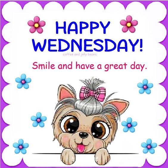 Smile And Have A Great Day. Happy Wednesday Pictures, Photos, and ...