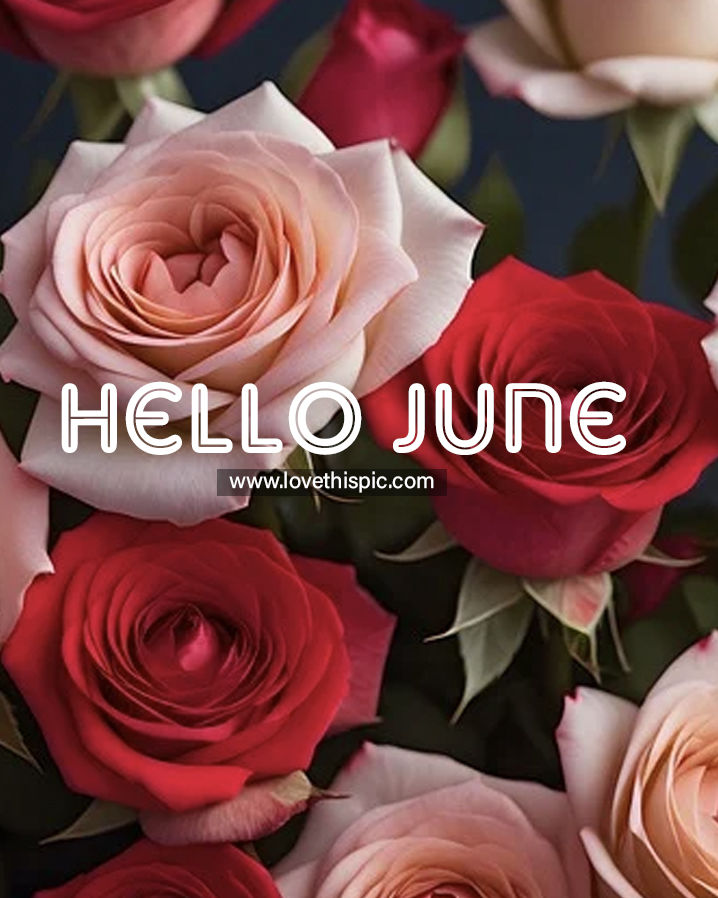 Pink & Red Roses - Hello June Pictures, Photos, and Images for Facebook ...
