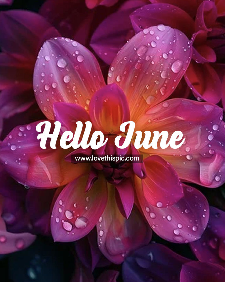 Hello June Pictures, Photos, and Images for Facebook, Tumblr, Pinterest ...