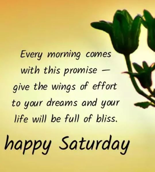 Every Morning Comes With This Promise Give The Wings Of Effort To Your ...