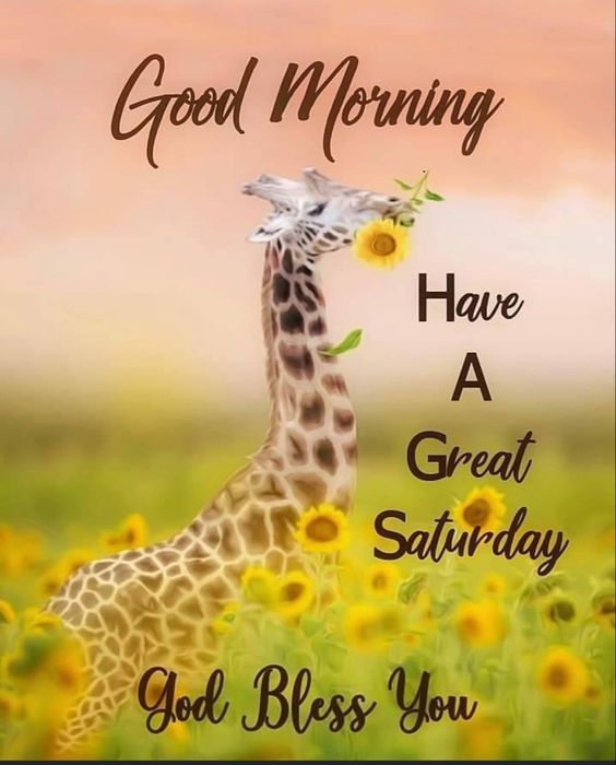 Giraffes & Sunflowers - Have A Great Saturday, Good Morning Pictures ...