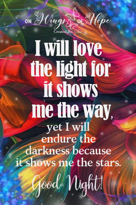 I Will Love The Light For It Shows Me The Way, Yet I Will Endure The ...