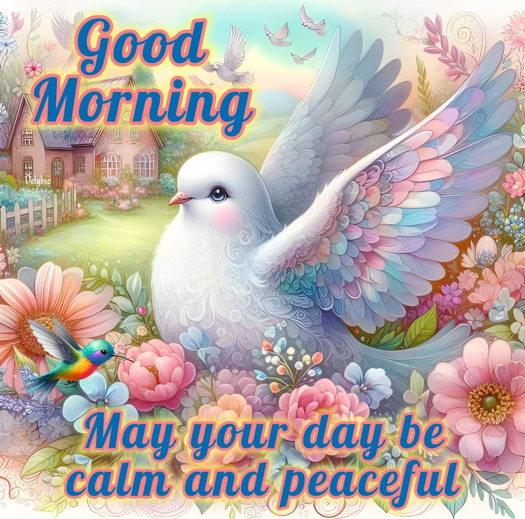 May Your Day Be Calm And Peaceful, Good Morning Pictures, Photos, and ...