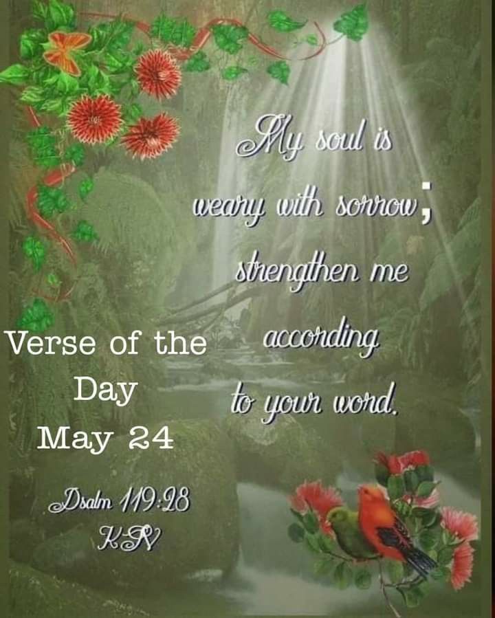 Verse Of The Day For May 24 Pictures, Photos, and Images for Facebook ...