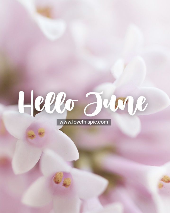 Floral Hello June Quote Pictures, Photos, and Images for Facebook ...