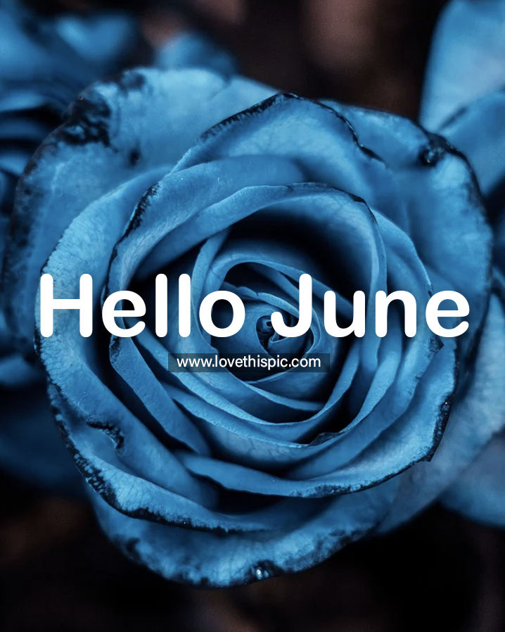Blue Rose Hello June Quote Pictures, Photos, and Images for Facebook ...