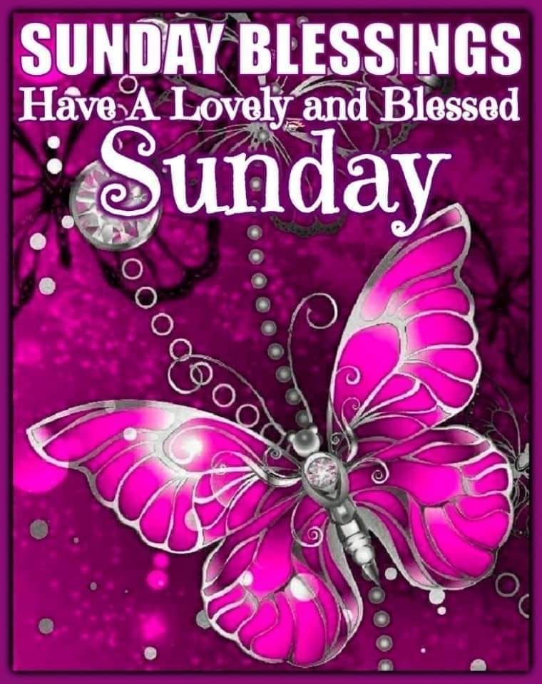 Have A Lovely And Blessed Sunday Pictures, Photos, and Images for ...