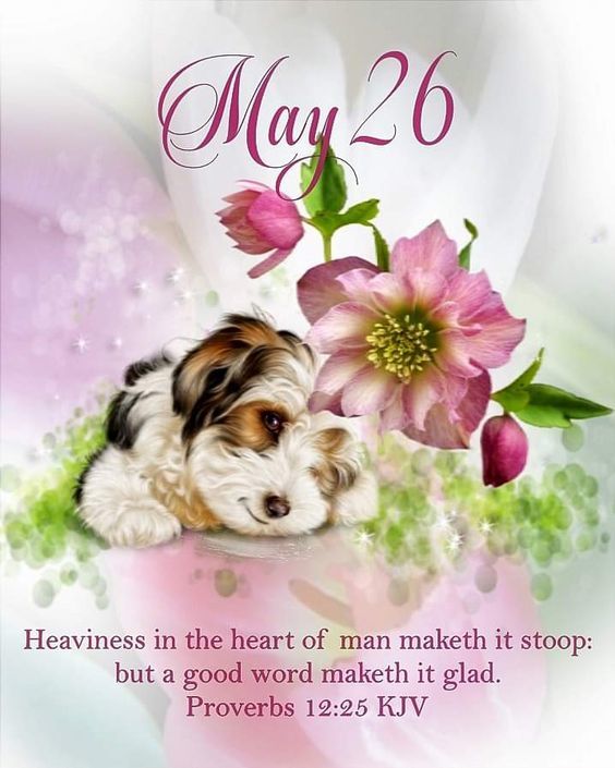 Proverbs 12:25 Verse For May 26 Pictures, Photos, and Images for ...