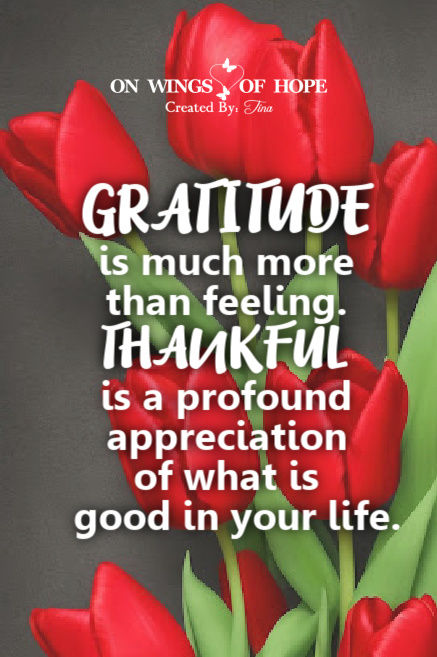 Gratitude Is Much More Than Feeling. Thankful, Is A Profound ...