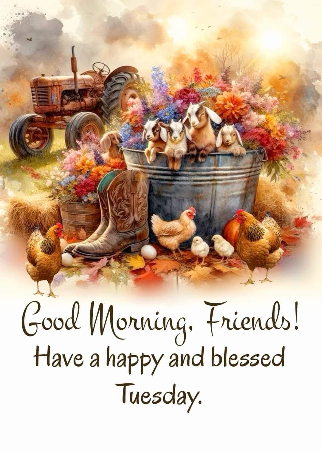 Happy And Blessed Tuesday Pictures, Photos, and Images for Facebook ...