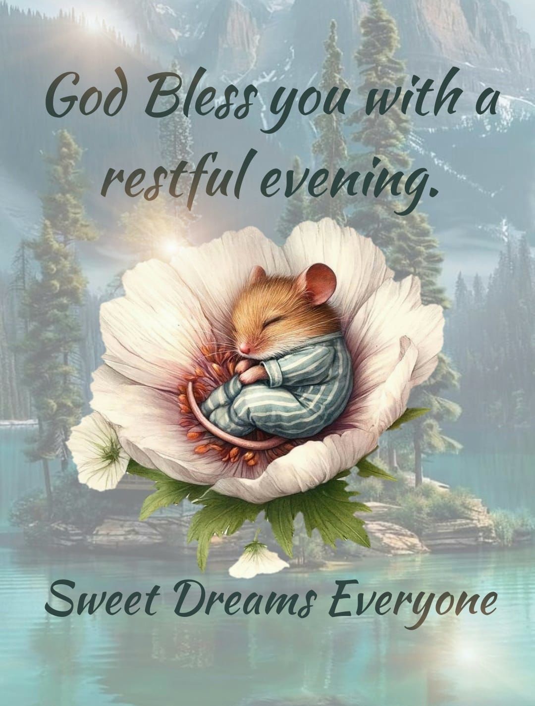 God Bless You With A Restful Evening Pictures, Photos, and Images for ...