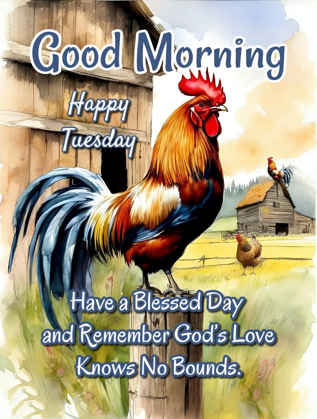 Good Morning Tuesday Rooster Pictures, Photos, and Images for Facebook ...