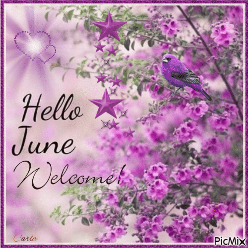 Hello June, Welcome! Pictures, Photos, and Images for Facebook, Tumblr ...