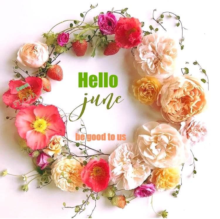 Hello June - Be Good To Us Pictures, Photos, and Images for Facebook ...