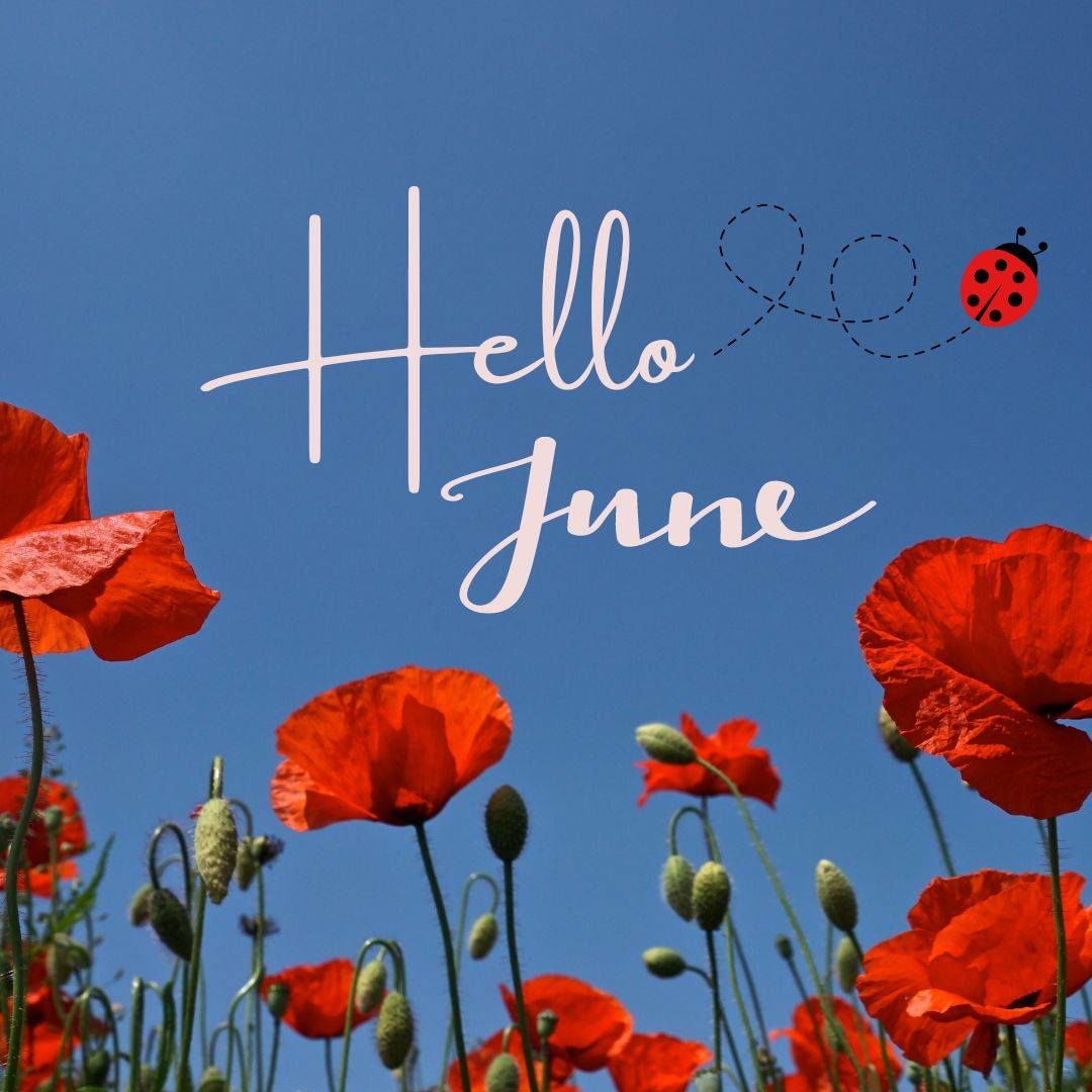 Hello June Flowers Pictures, Photos, and Images for Facebook, Tumblr ...