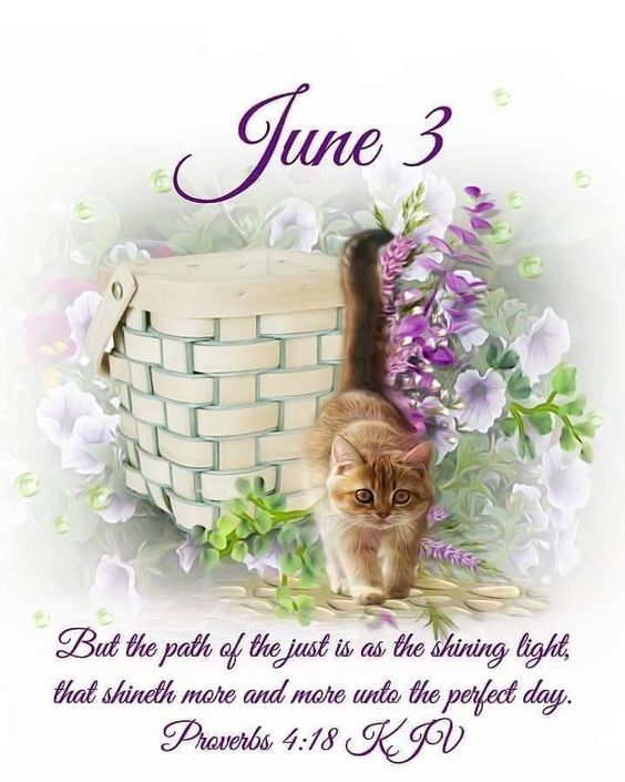 Proverbs 4:18 June 3 Scripture Pictures, Photos, and Images for ...