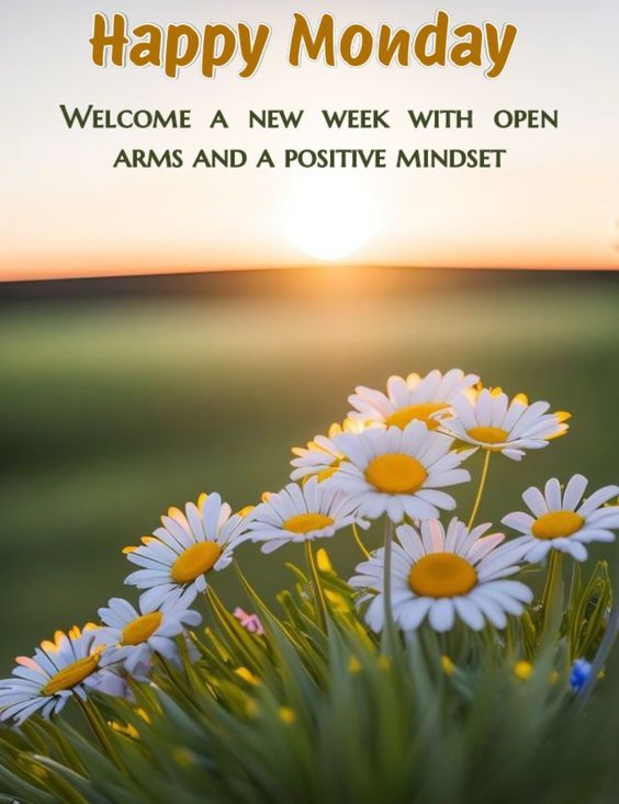 Welcome A New Week With Open Arms And A Positive Mindset Pictures ...