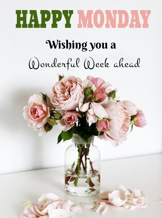 New Week Ahead, Happy Monday Pictures, Photos, and Images for Facebook ...