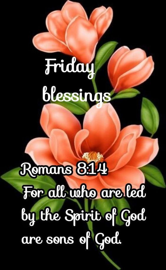 Romans 8:14 Friday Blessings Pictures, Photos, and Images for Facebook ...