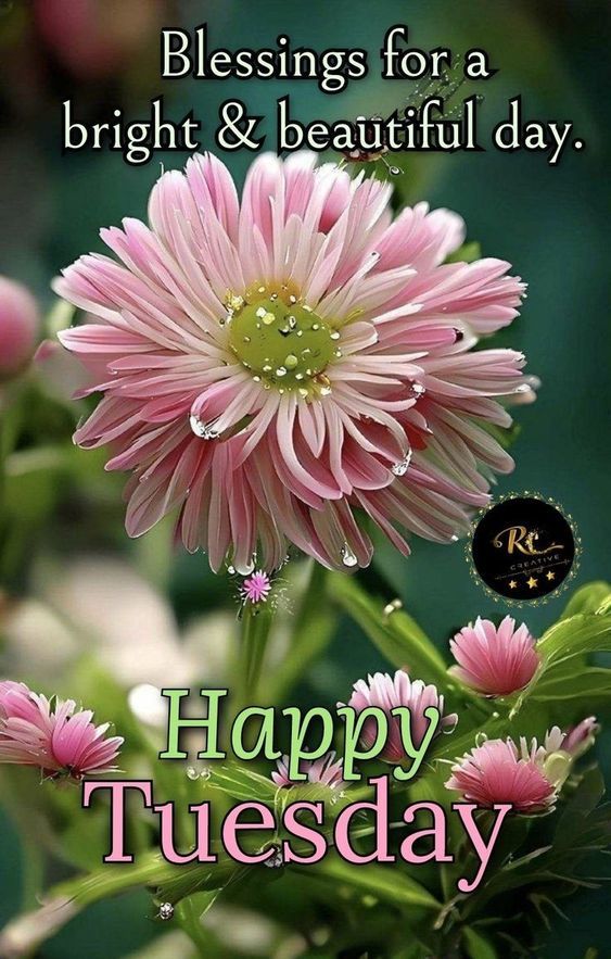 Blessings For A Bright & Beautiful Day. Happy Tuesday Pictures, Photos ...