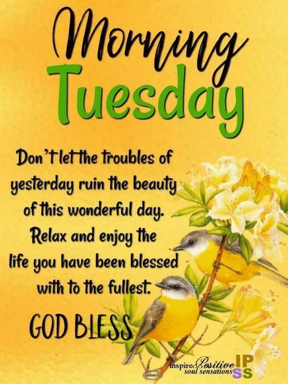 Morning Tuesday Pictures, Photos, and Images for Facebook, Tumblr ...
