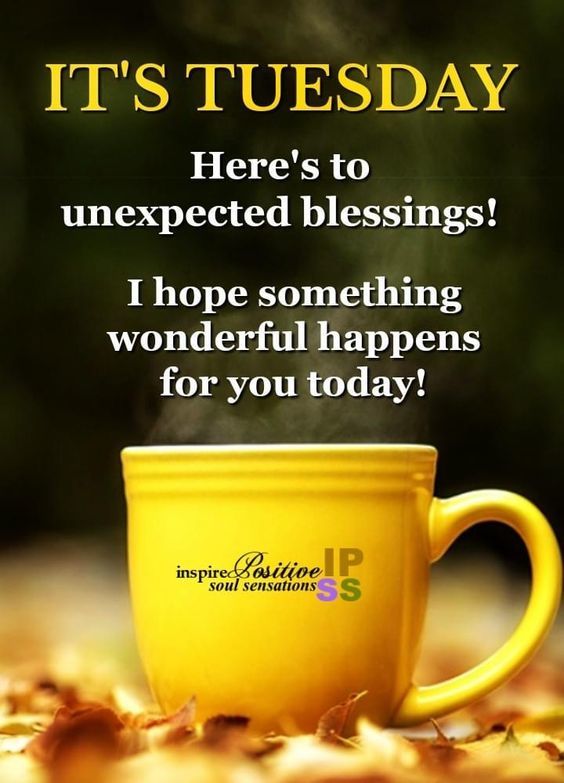 It's Tuesday. Here's To Unexpected Blessings! Pictures, Photos, and ...