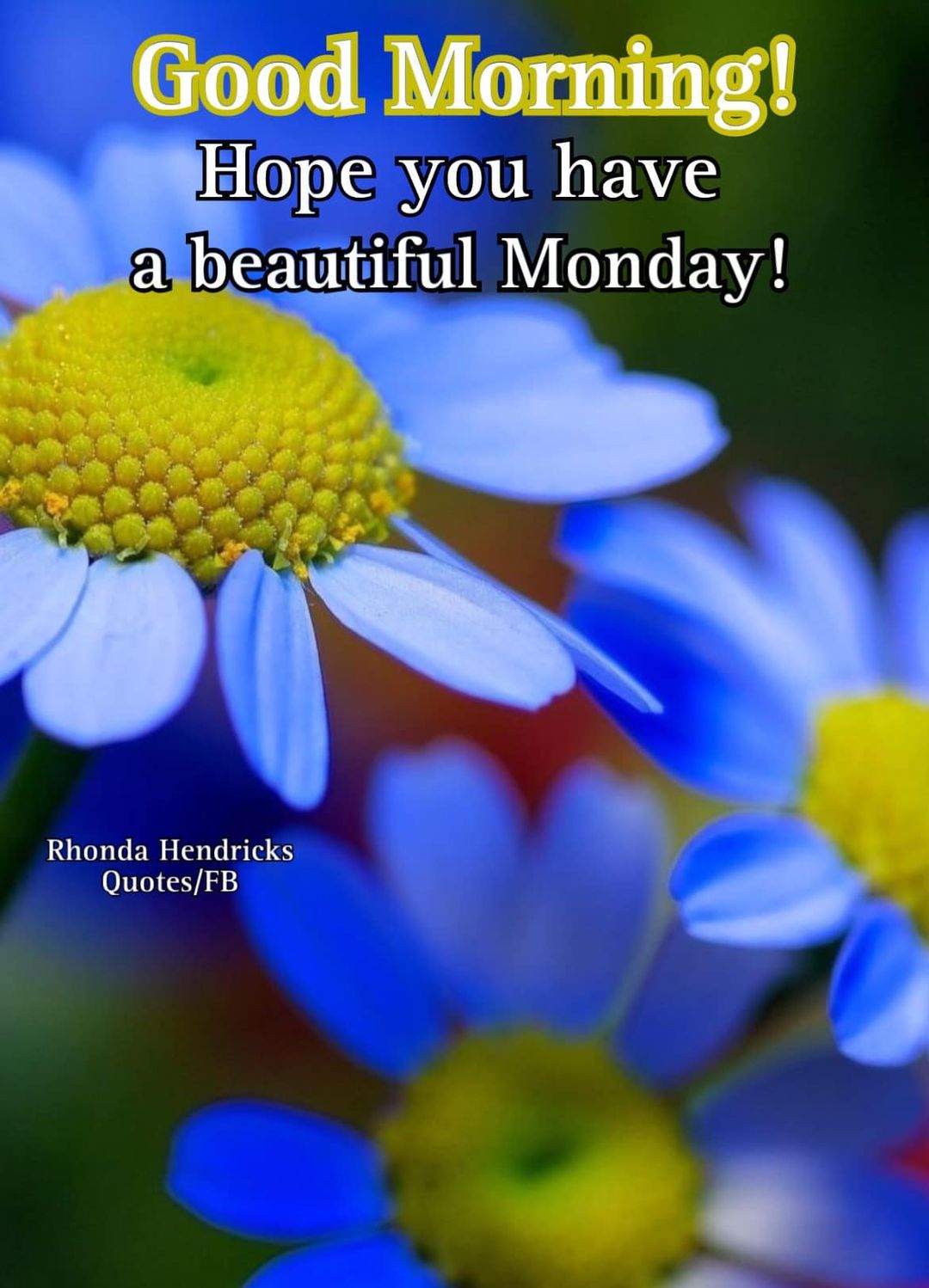 Hope You Have A Beautiful Monday! Pictures, Photos, and Images for ...