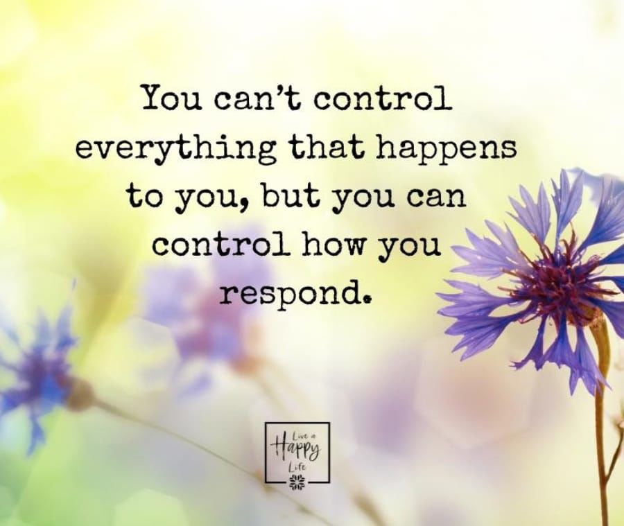 You Can't Control Everything That Happens To You, But You Can Control ...