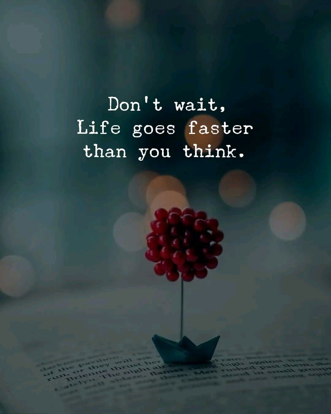 Don't Wait, Life Goes Faster Than You Think Pictures, Photos, and ...