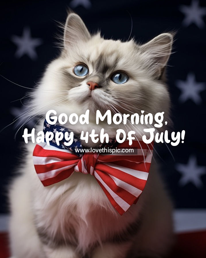 Kitty With American Bow - Good Morning, Happy 4th Of July Pictures ...