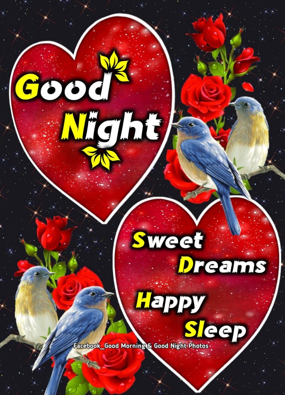 Good Night And Sweet Dreams. Happy Sleep Pictures, Photos, and Images ...