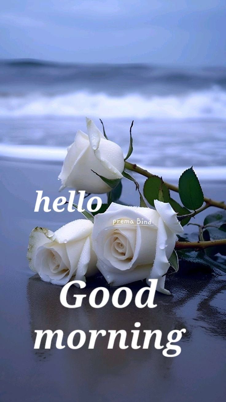 Hello, Good Morning Pictures, Photos, and Images for Facebook, Tumblr ...