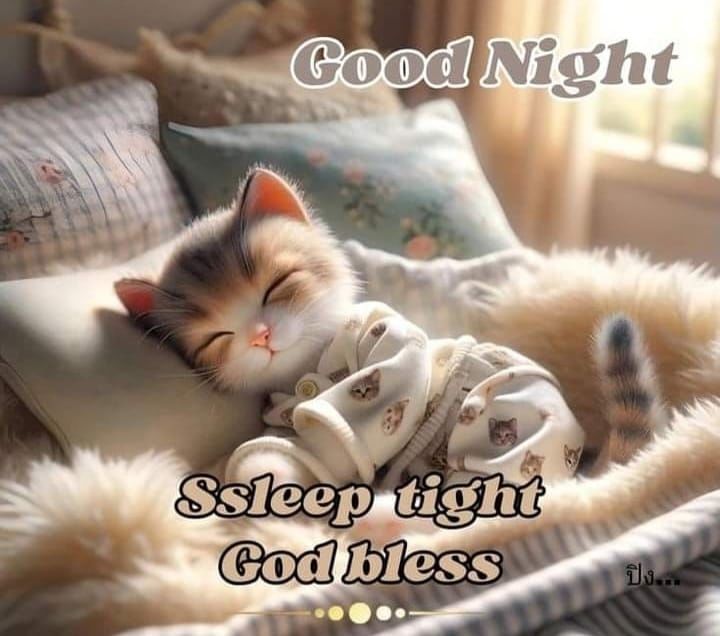 Sleeping Kitten - Good Night, Sleep Tight Pictures, Photos, and Images ...