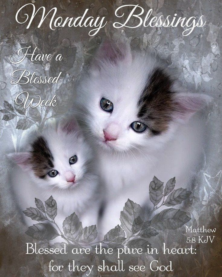 Monday Blessings Pictures, Photos, and Images for Facebook, Tumblr ...