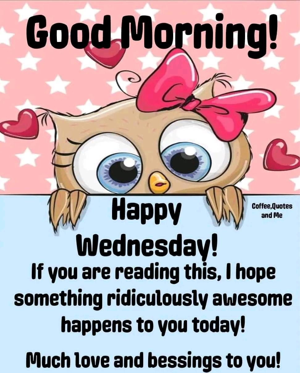 Good Morning, Happy Wednesday. If You Are Reading This, I Hope ...