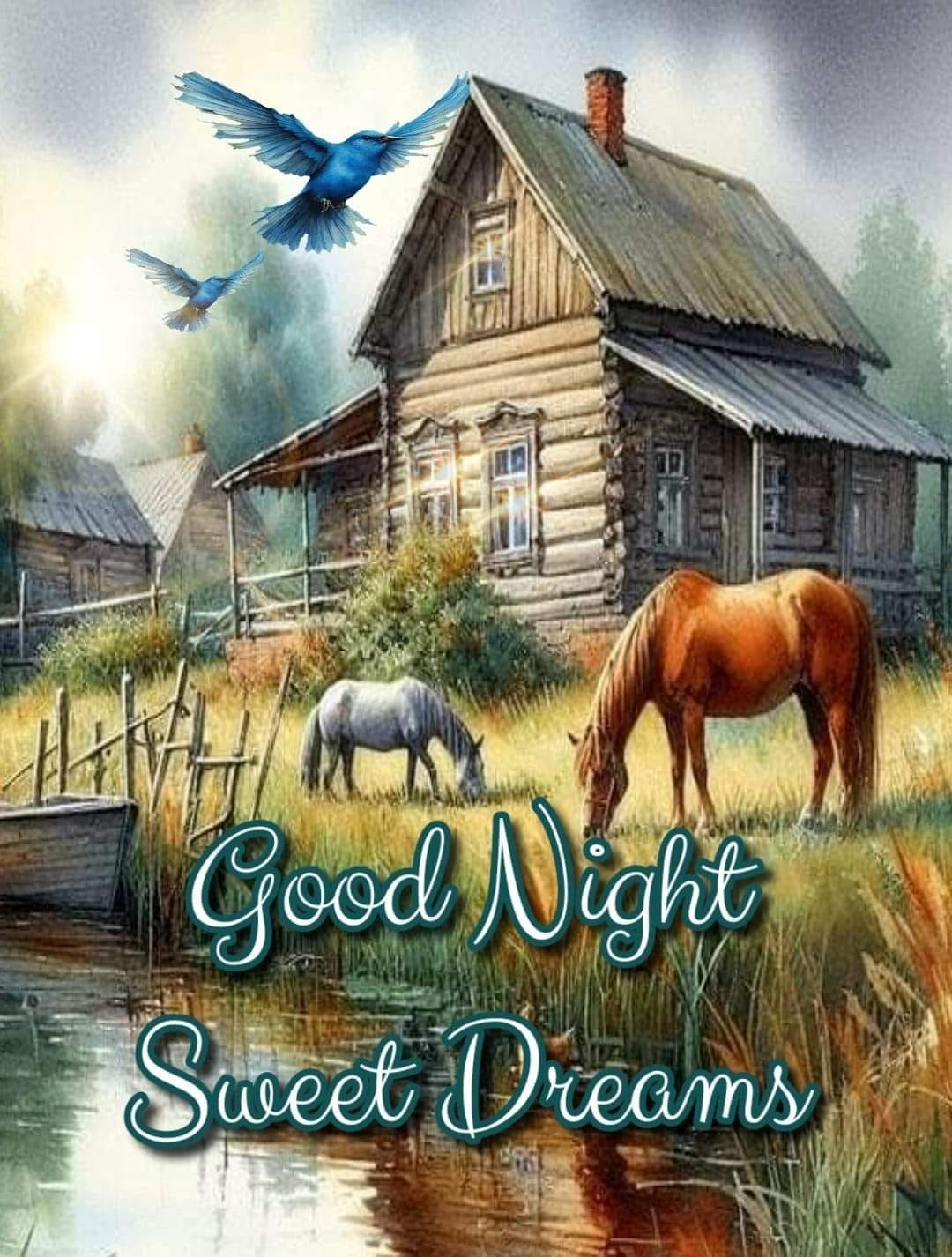 Horse In Pasture - Good Night, Sweet Dreams Pictures, Photos, and ...