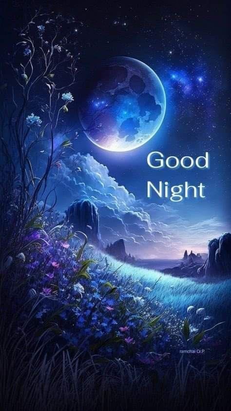 Full Moon & Garden - Good Night Pictures, Photos, and Images for ...