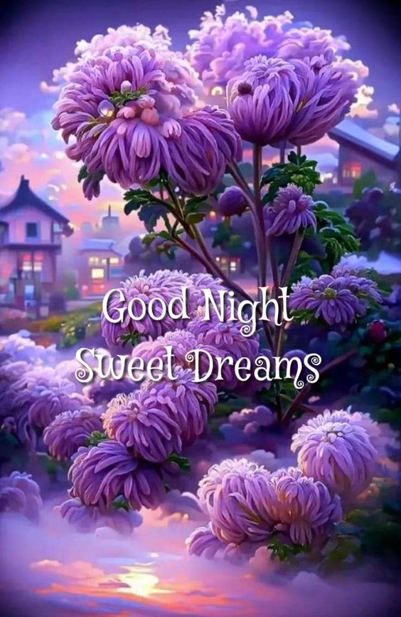 Purple Flowers - Good Night & Sweet Dreams Pictures, Photos, and Images ...