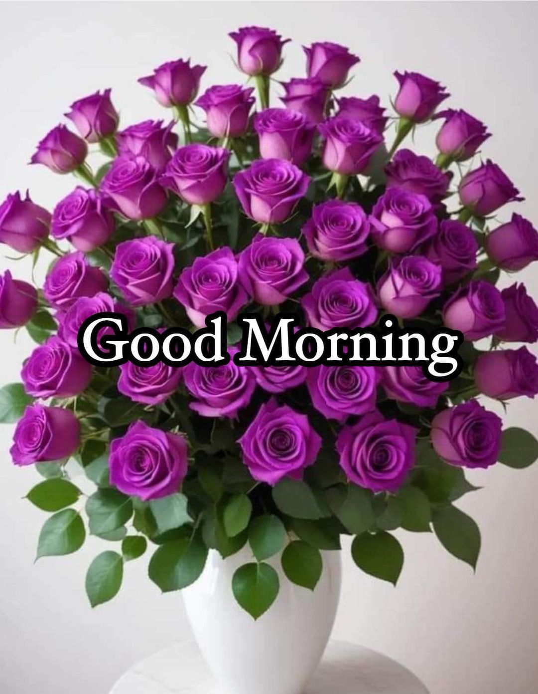 Violet Roses - Good Morning Greeting Pictures, Photos, and Images for ...